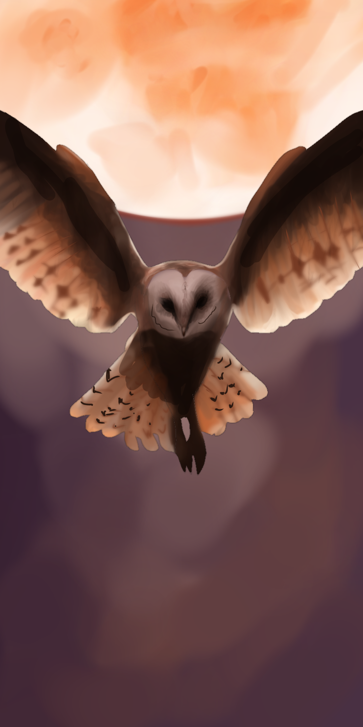 An owl 🦉 - ibisPaint