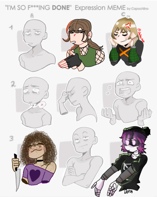 “I’m so F×××ing DONE” Expression meme - ibisPaint
