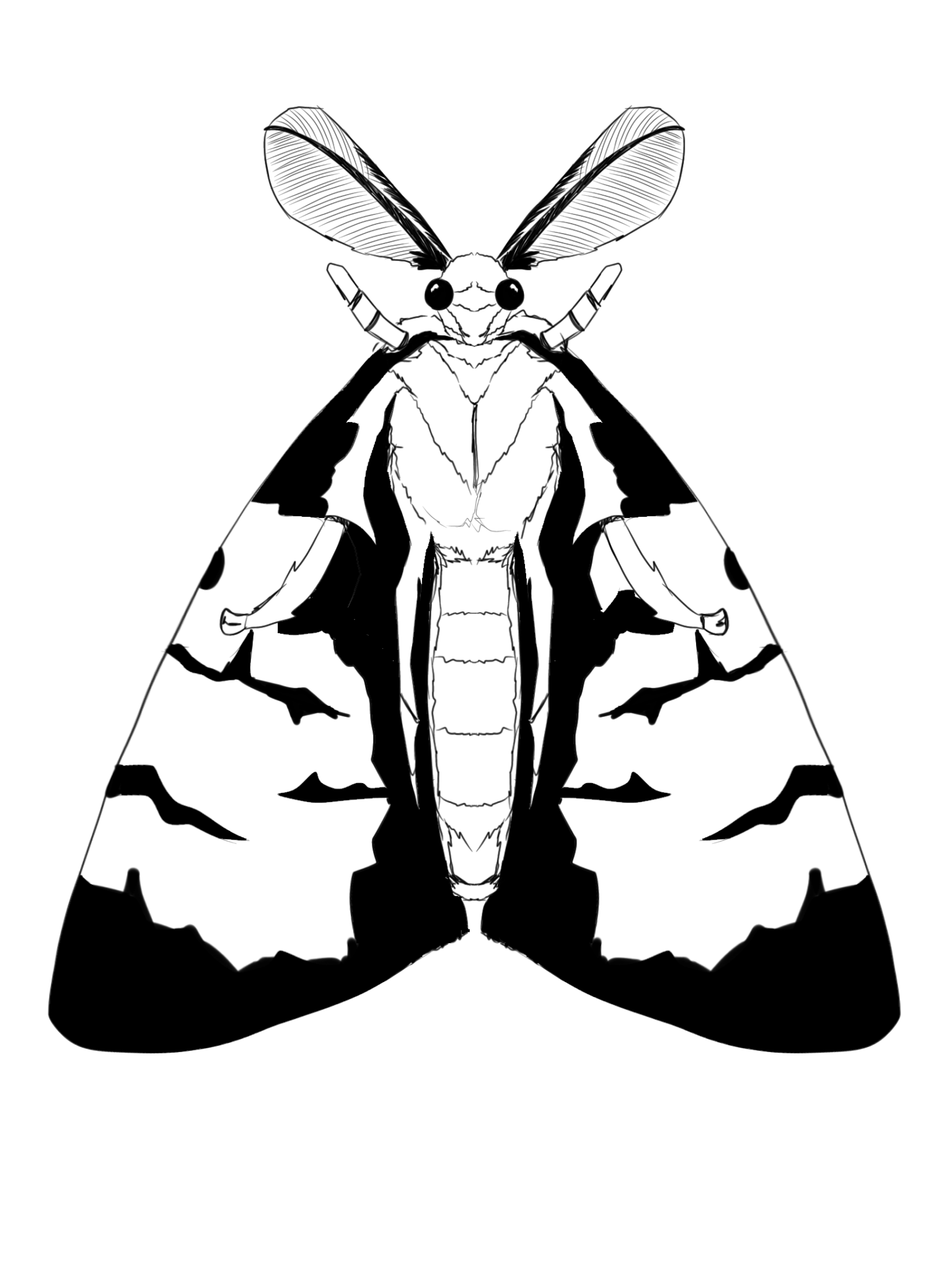 Hawkmoth - ibisPaint