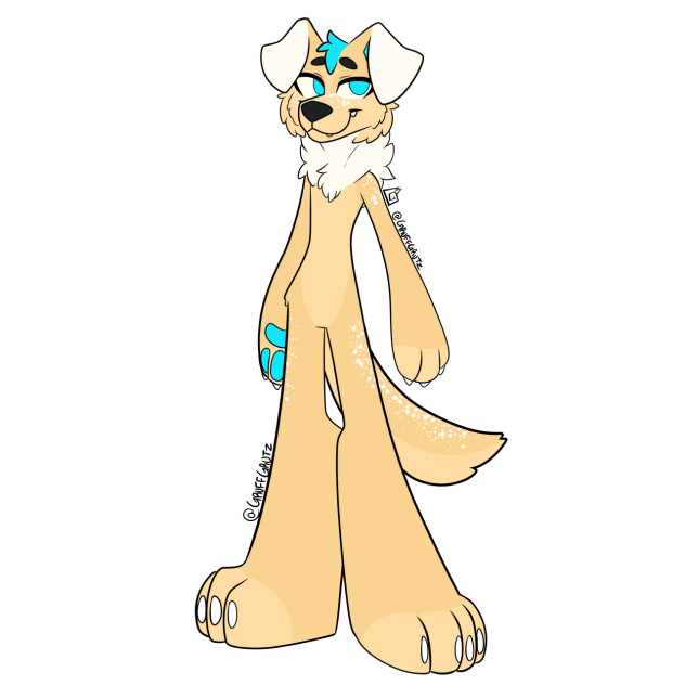 Marcy the Yellow Lab - ibisPaint