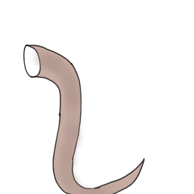 Tail flick test!! - ibisPaint