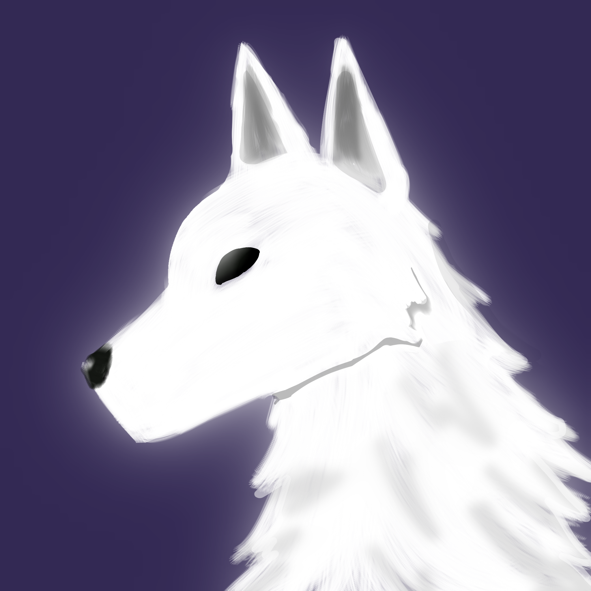 white wolf - ibisPaint