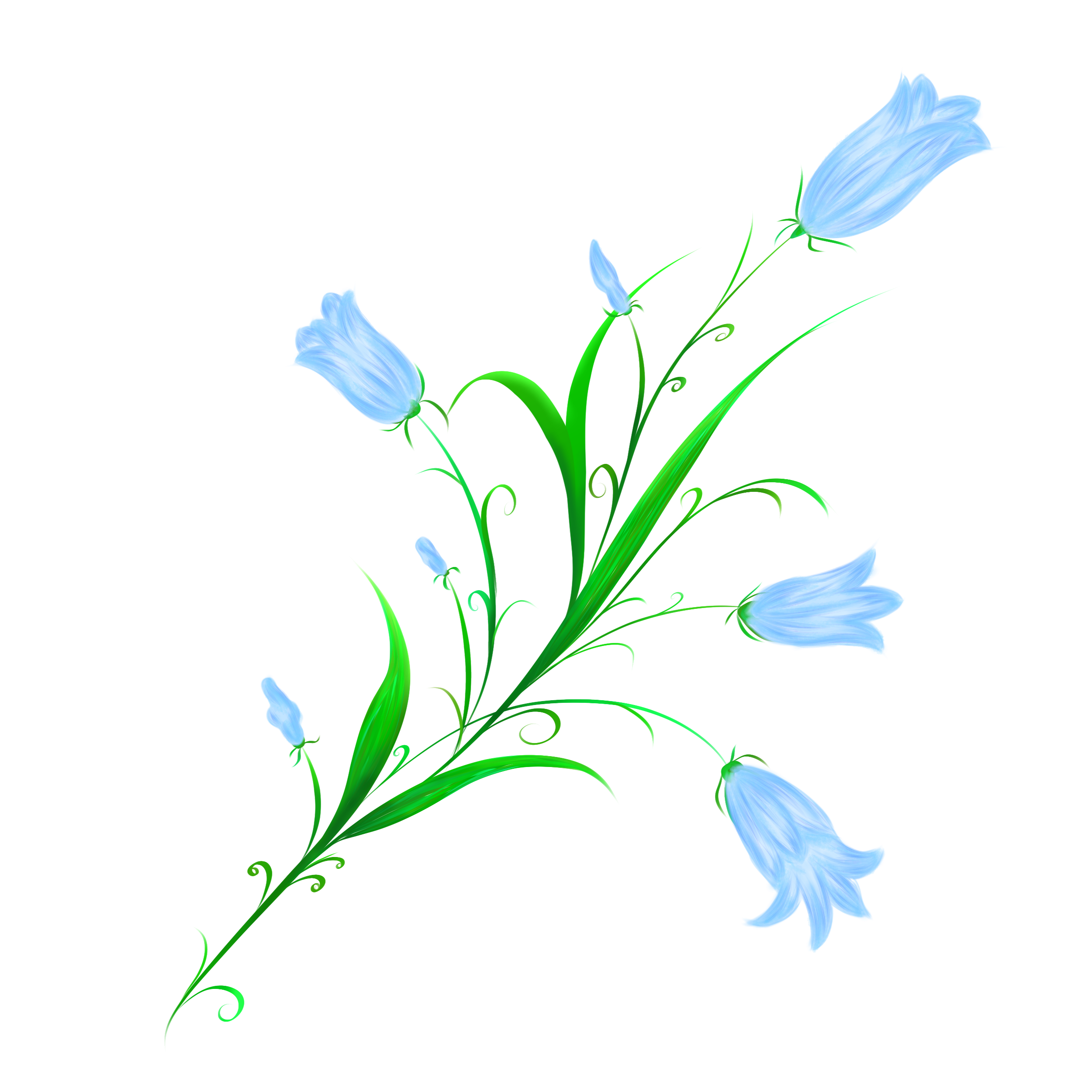 Blue peony tulip - ibisPaint