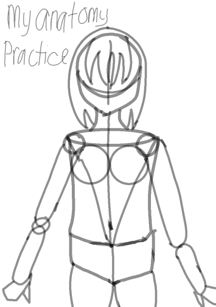 Anatomy practice - ibisPaint
