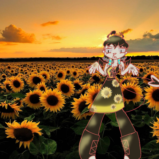 bro dis sunflower thingy is everywhere - ibisPaint