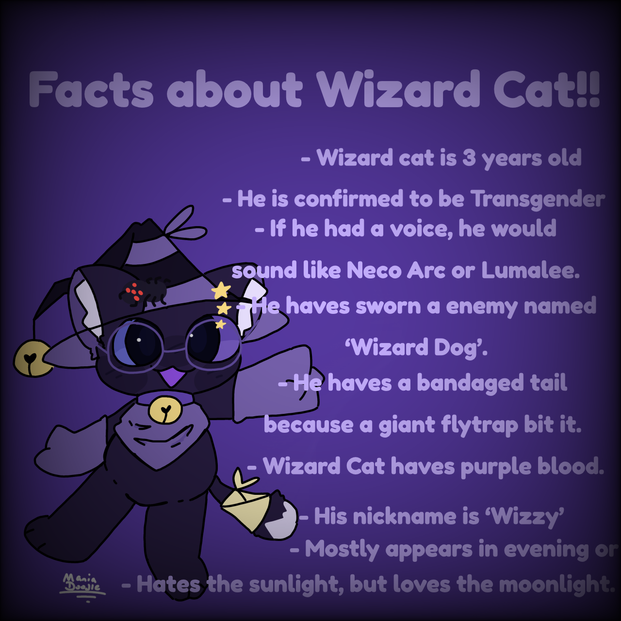 Facts about Wizard Cat - ibisPaint