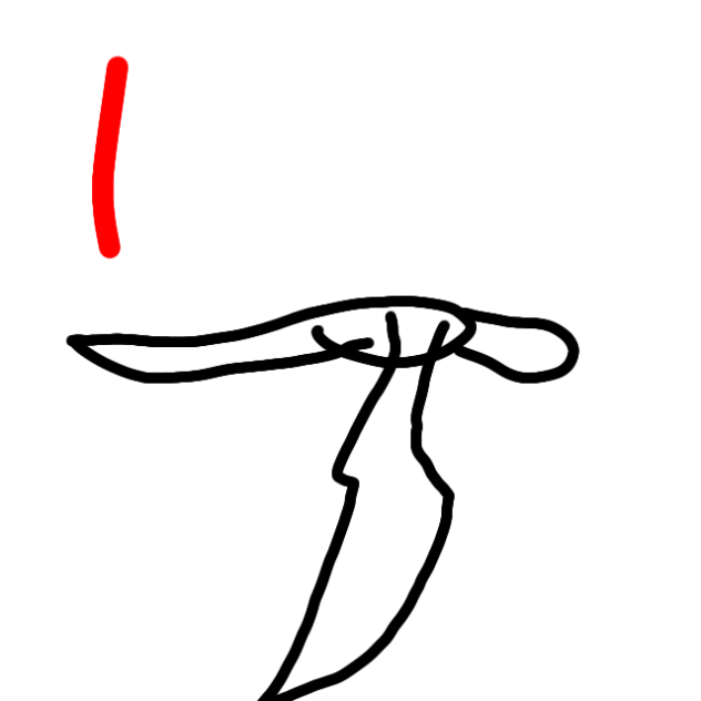 wings cycle - ibisPaint