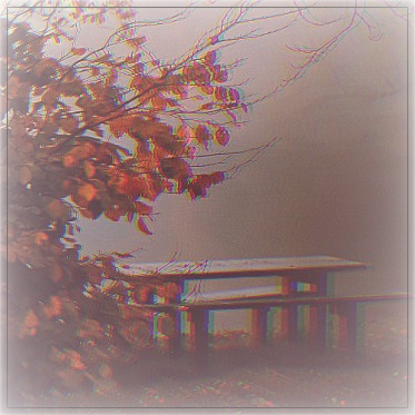 Edited Bench - ibisPaint