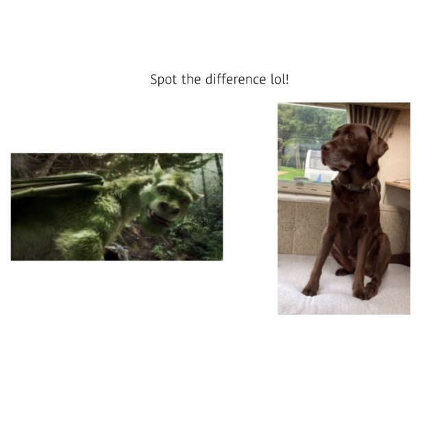 Spot the difference - ibisPaint
