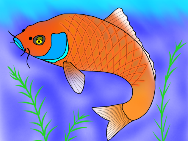 Golden Carp - ibisPaint