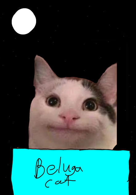 Beluga cat alone 🥹🥹🥹 - ibisPaint