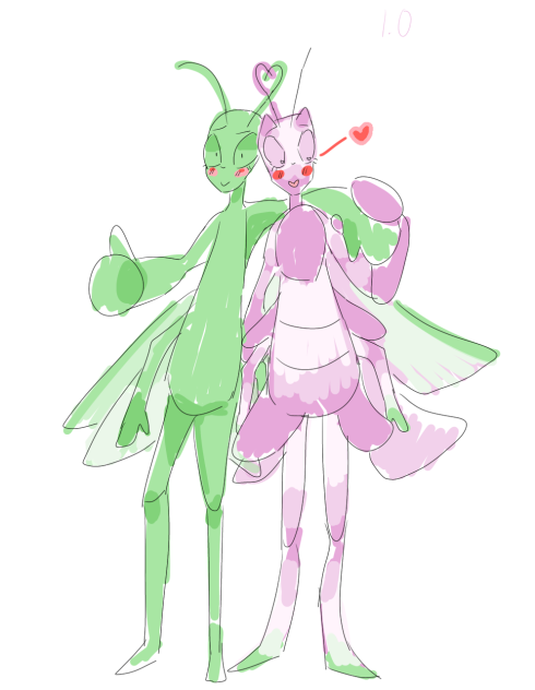 Mantis and orchid mantis sketch - ibisPaint