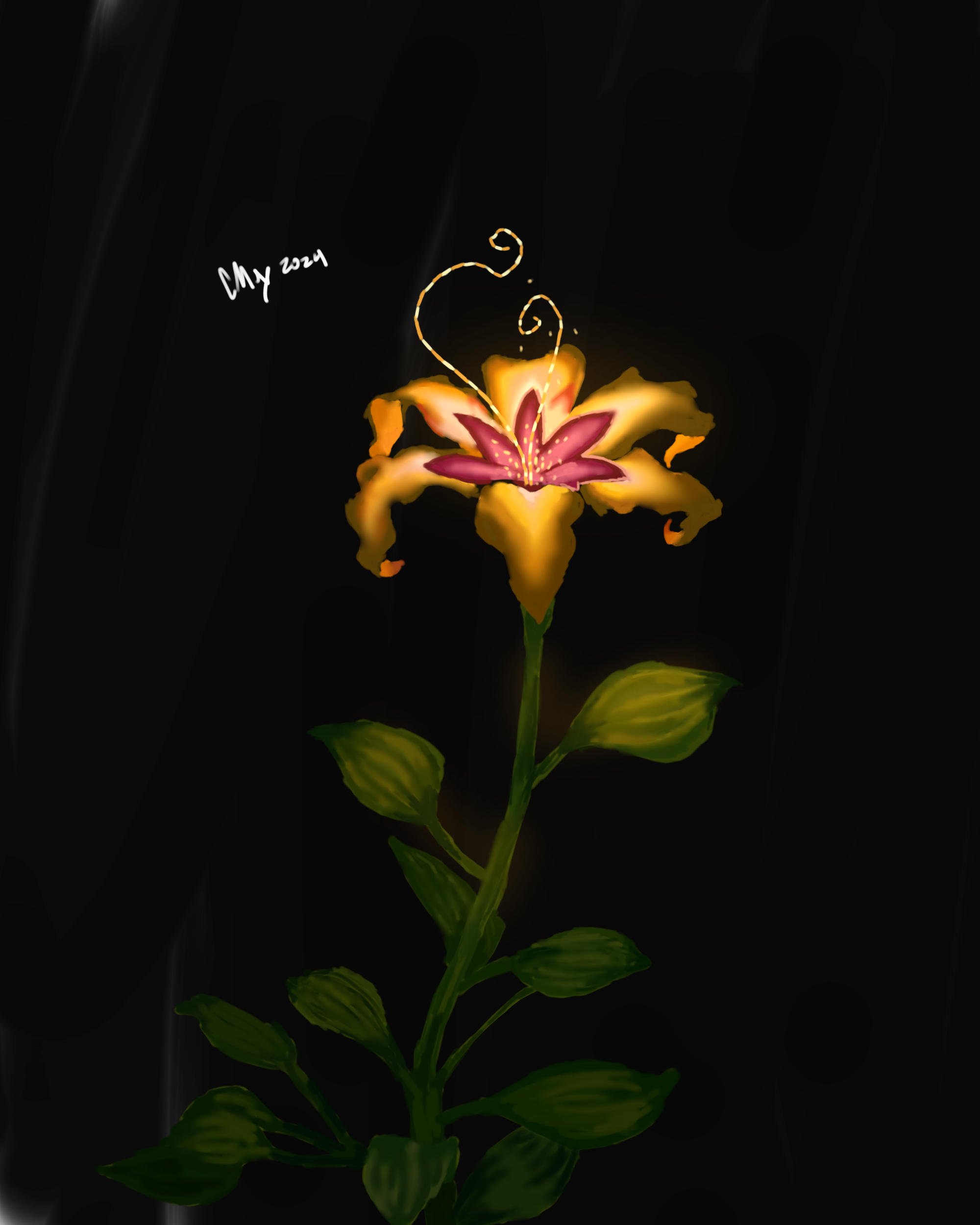 tangled flower 🌼 - ibisPaint