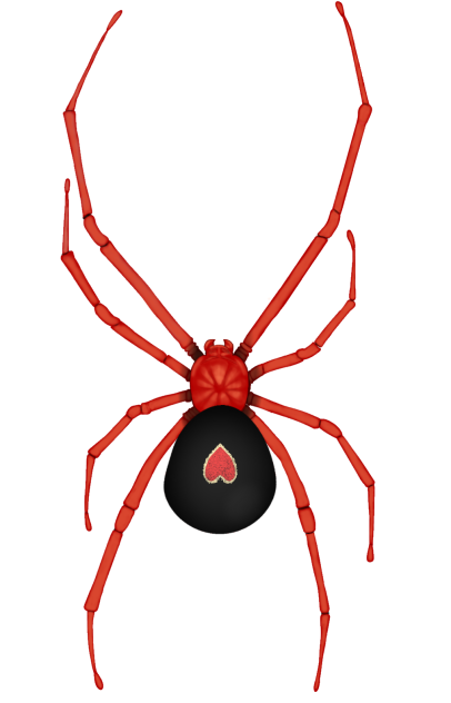 Red Widow Spider from Reference - ibisPaint