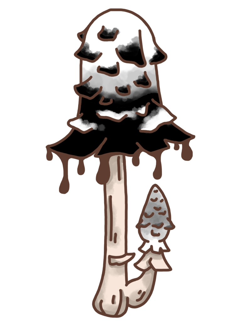 Inky cap mushroom V2 - ibisPaint