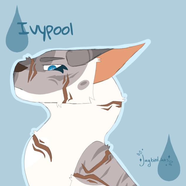Ivypool icon thingy - ibisPaint