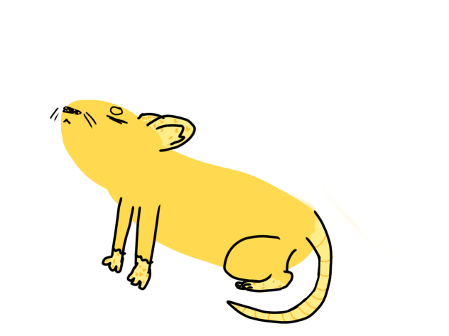 Cheez the cheese rat - ibisPaint