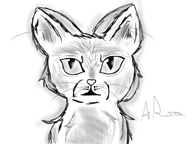 Cat SpeedPaint - ibisPaint