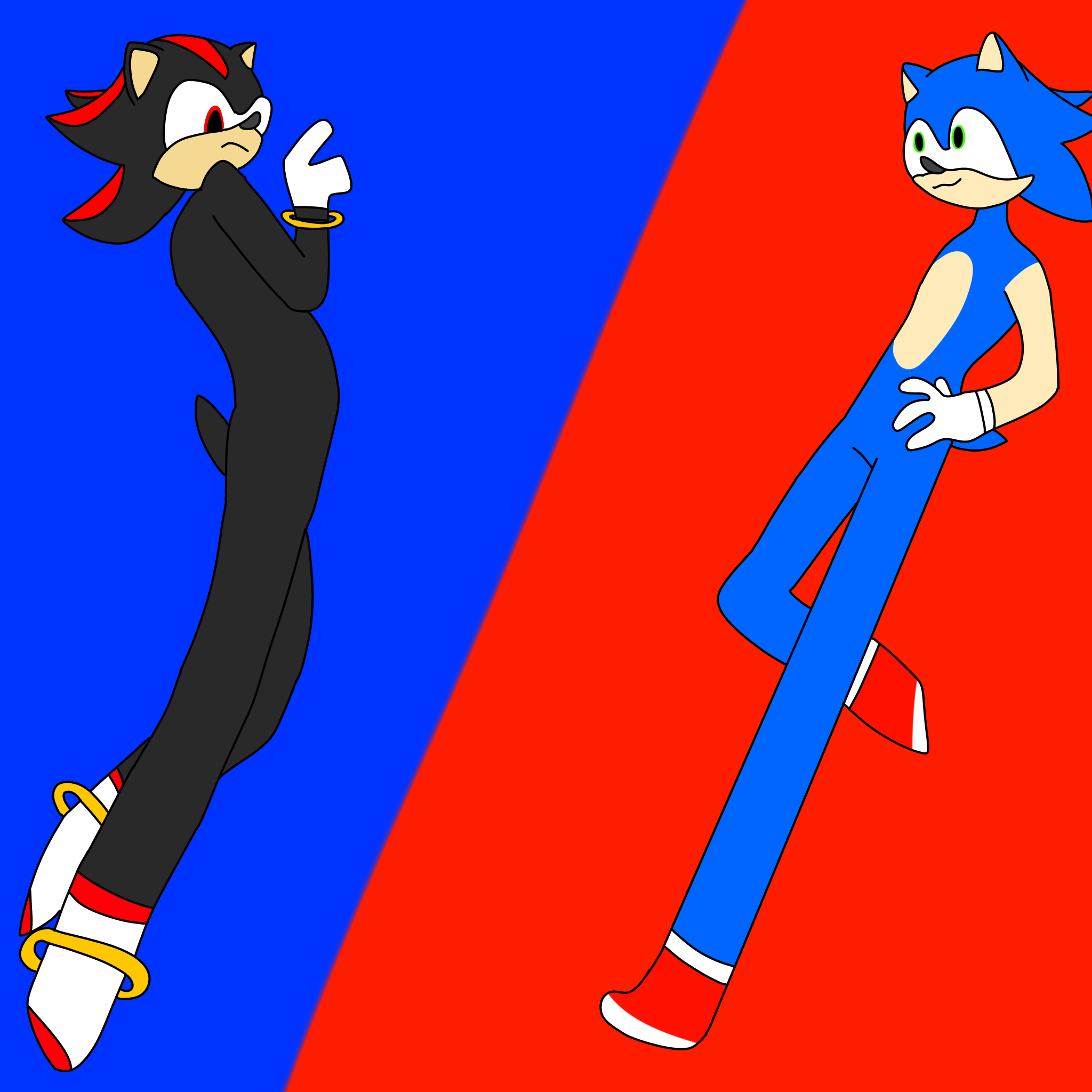 Sonic and Shadow - ibisPaint