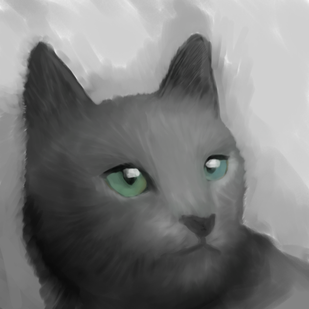 gray cat - ibisPaint