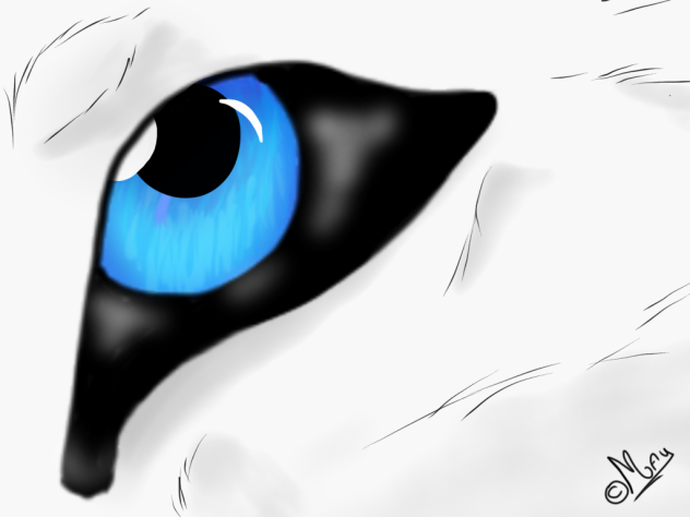 Wolf Eye - ibisPaint