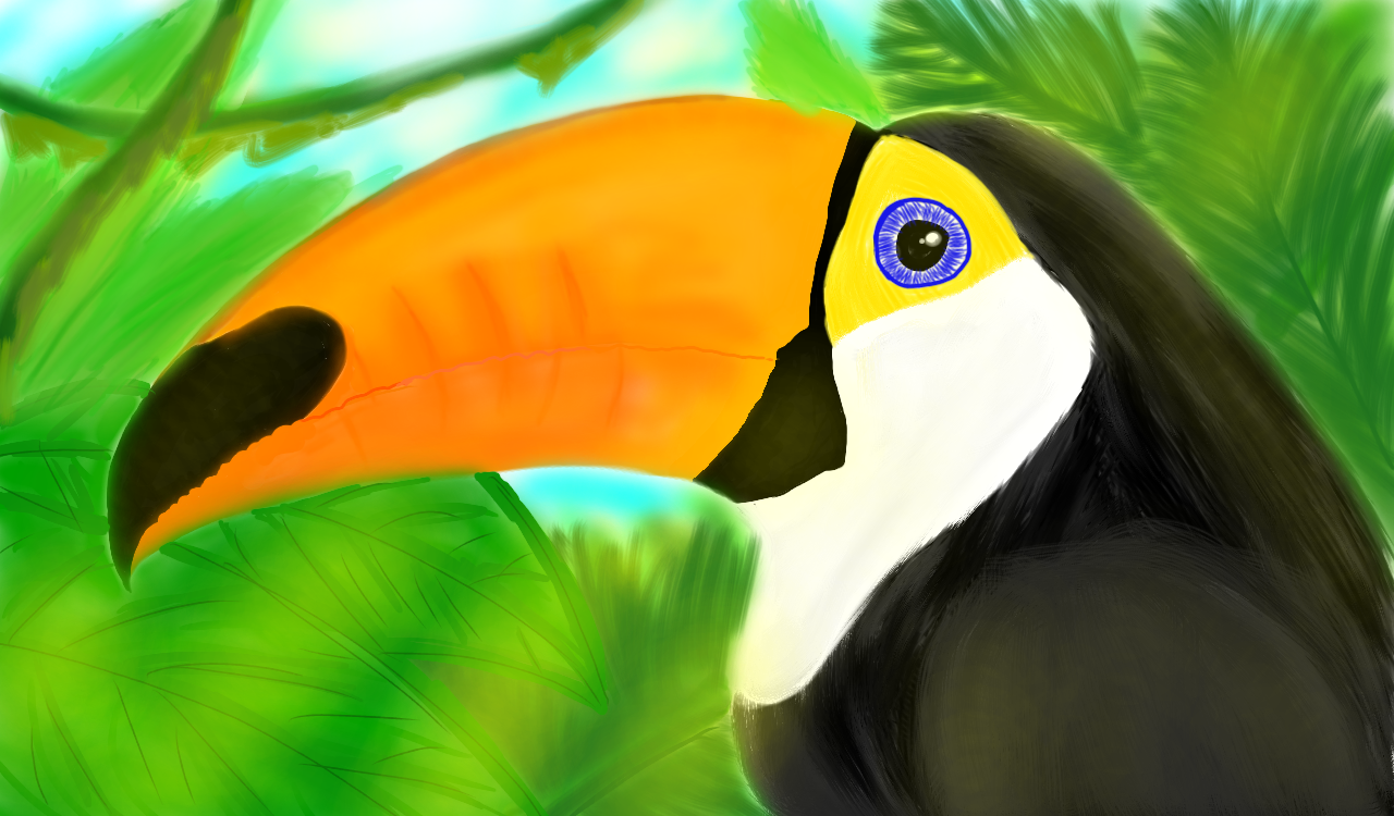Toucan - ibisPaint