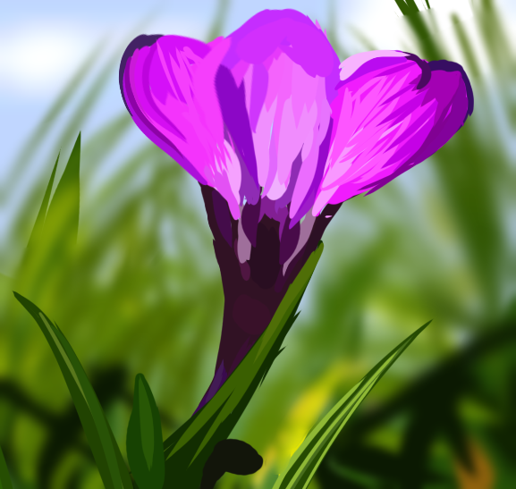 Crocus flower - ibisPaint