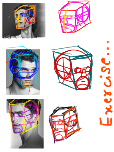 Face proportion exercise - ibisPaint