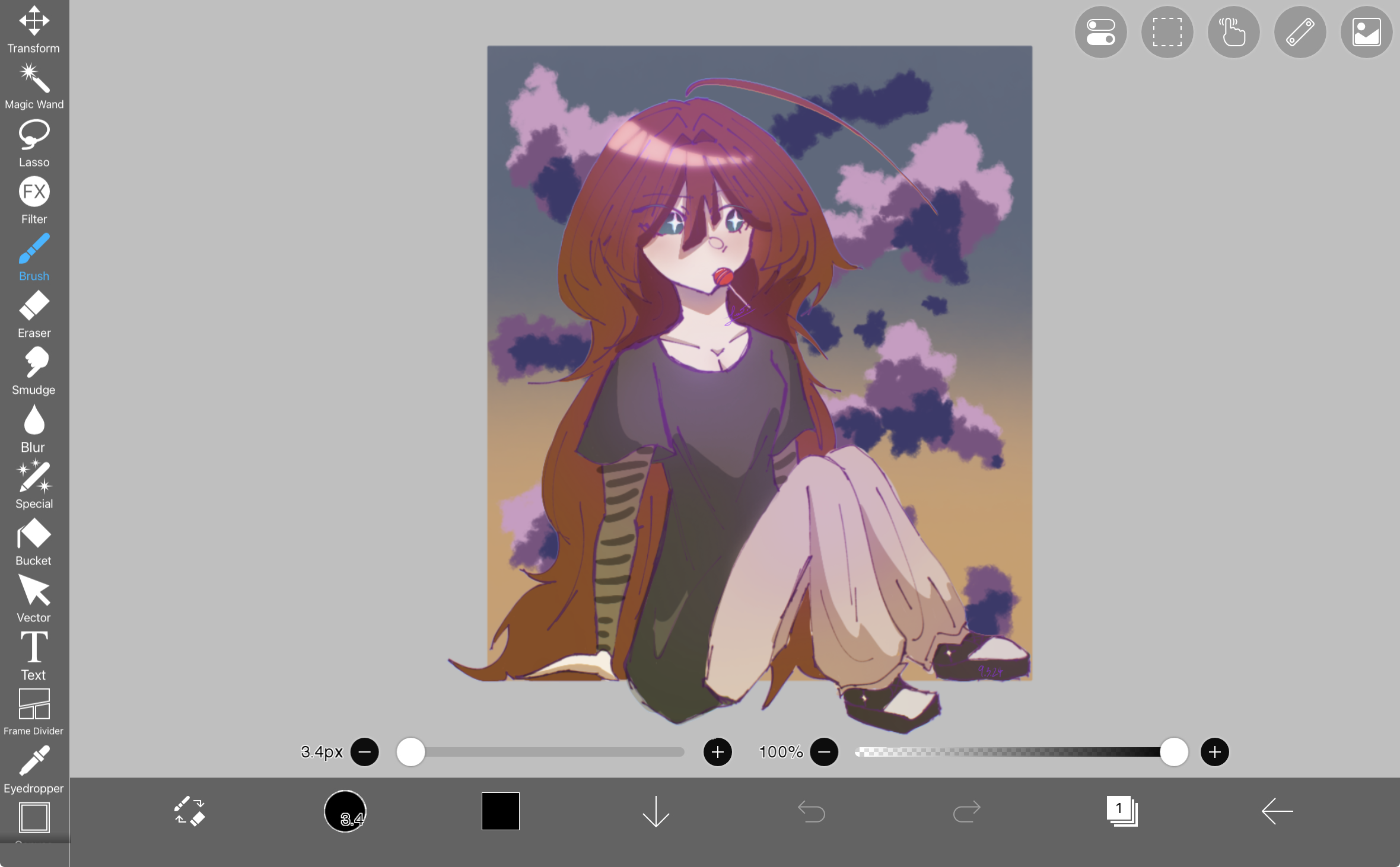 INPUT ERROR - ibisPaint