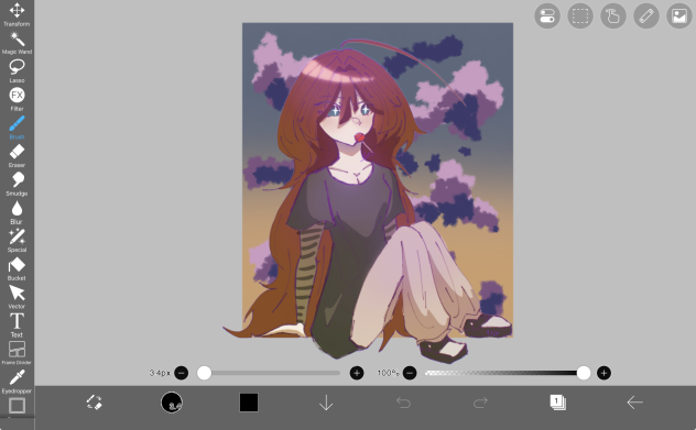 INPUT ERROR - ibisPaint