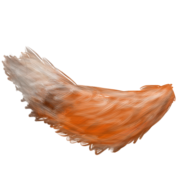 Fox tail - ibisPaint