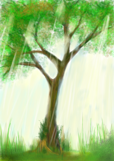 The Shade of Tree - ibisPaint