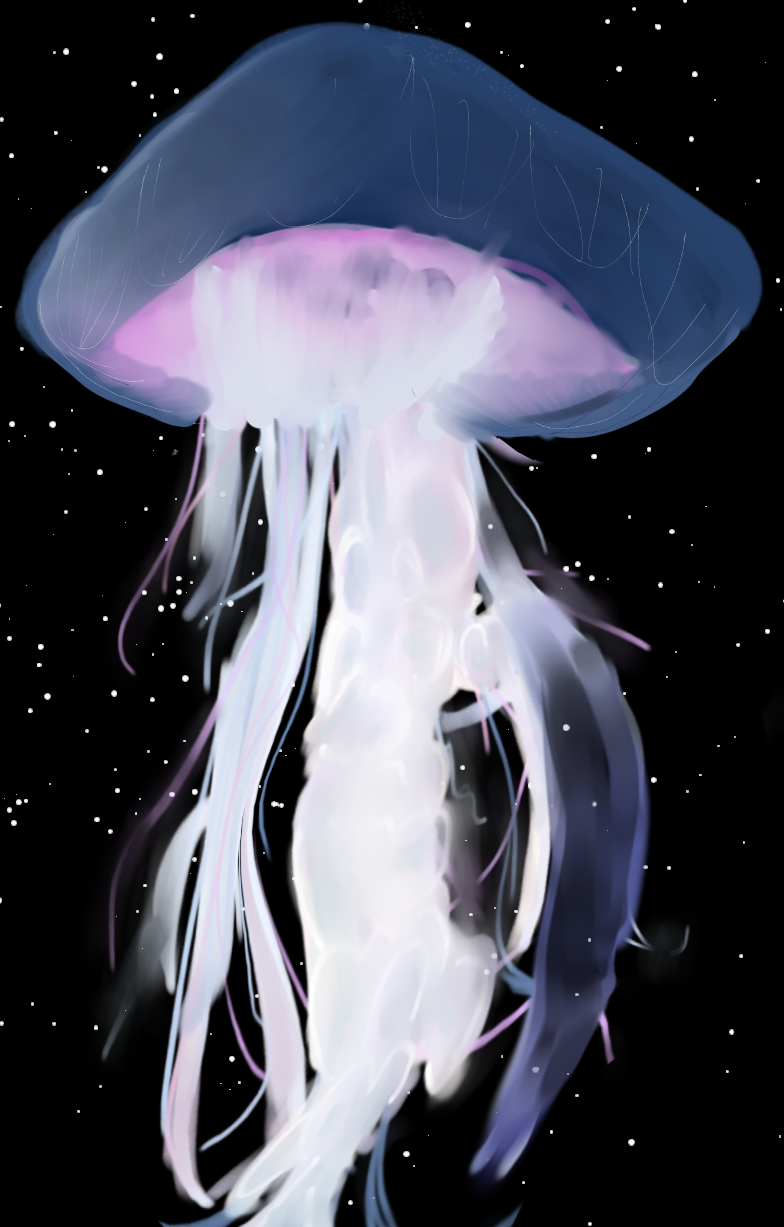Jellyfish ☆ shadow of moonlight 🌑 - ibisPaint
