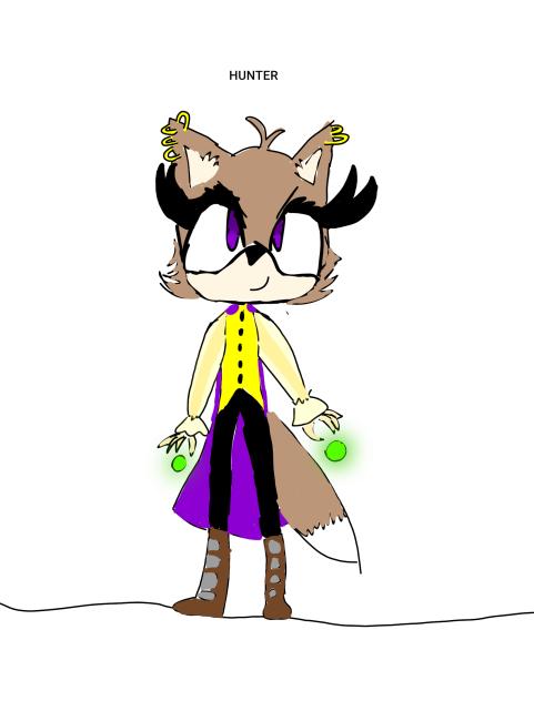Sonic OC Hunter - ibisPaint