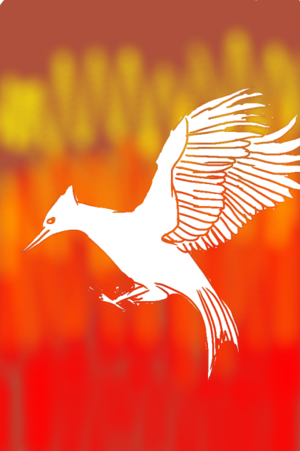 Catching Fire - ibisPaint