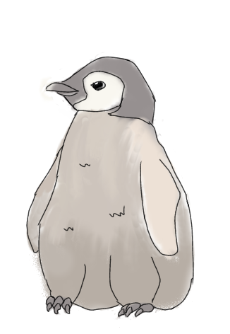 Penguin - ibisPaint