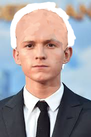 Bald holland - ibisPaint