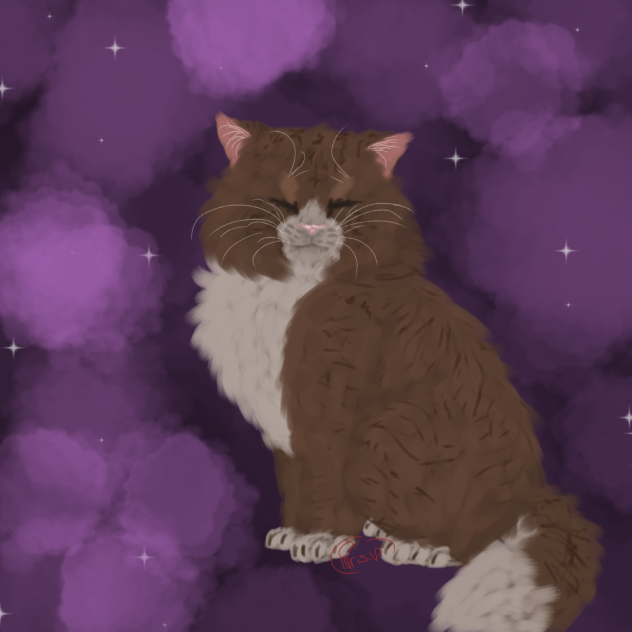 toby the kitten ~speedpaint~ - ibisPaint