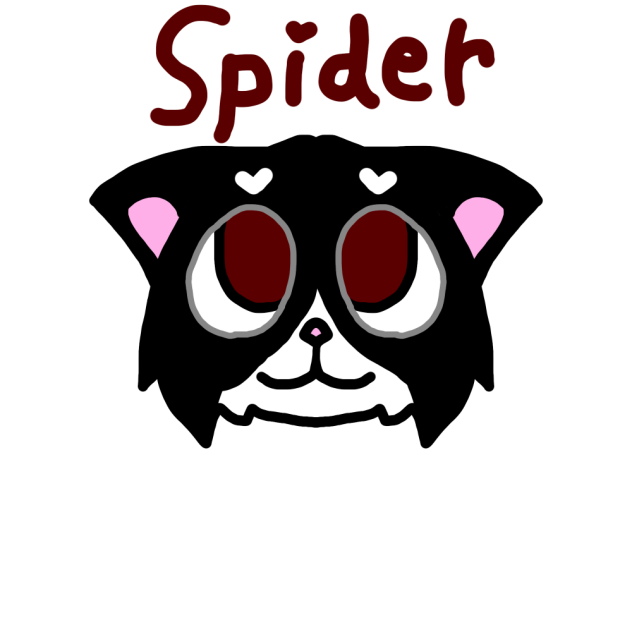 Kitty named spider! - ibisPaint