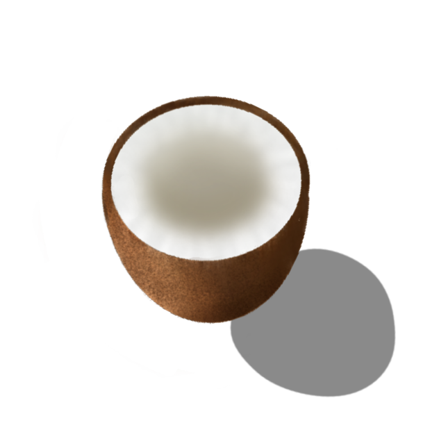 Coconut - ibisPaint