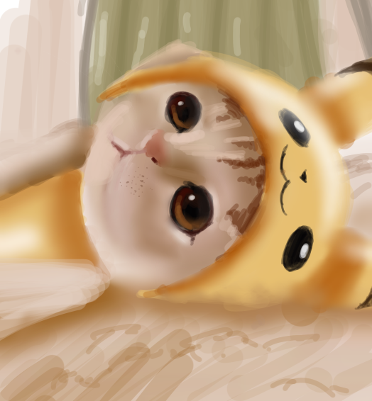 Poke-cat - ibisPaint