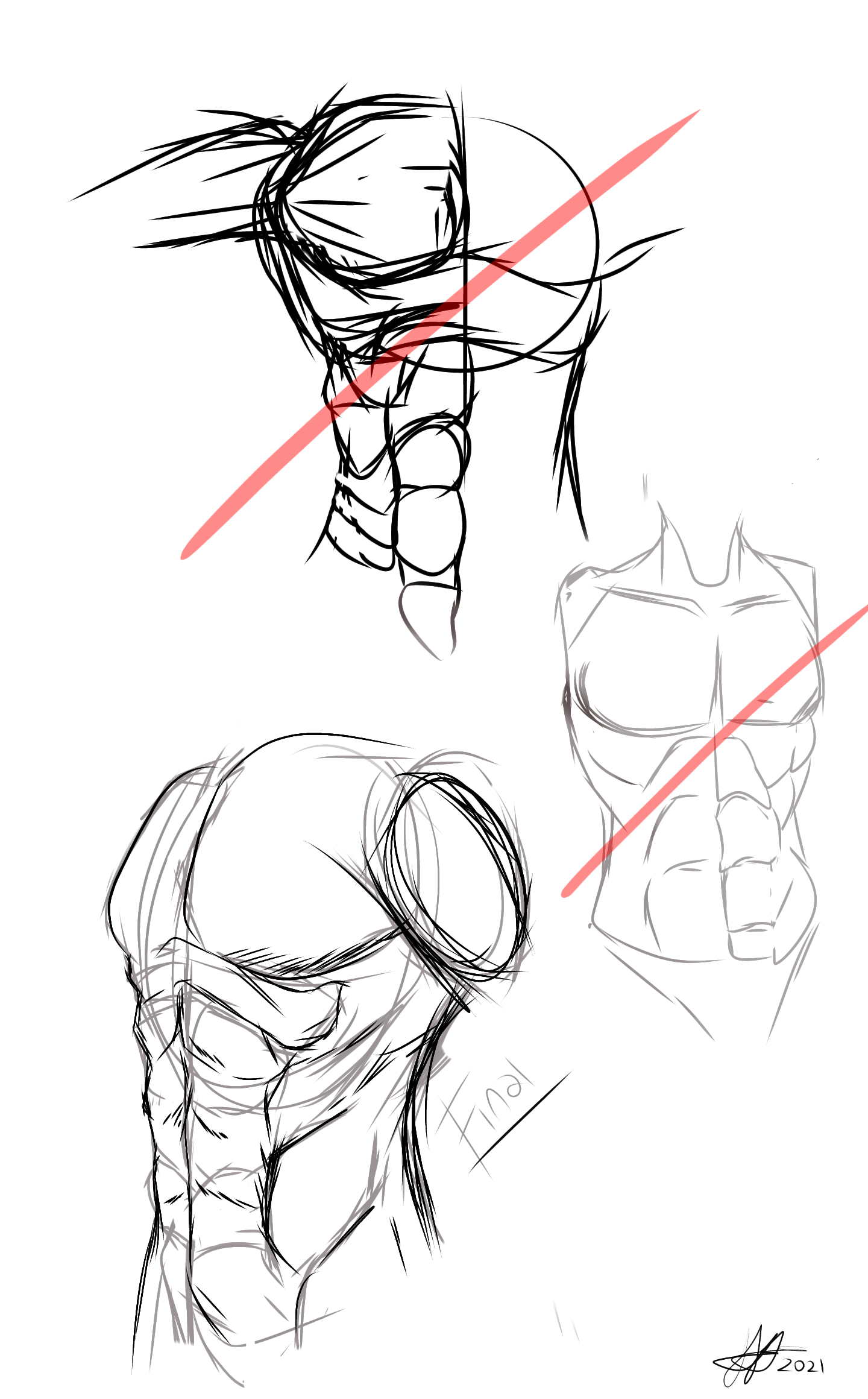 learning how draw muscles - ibisPaint