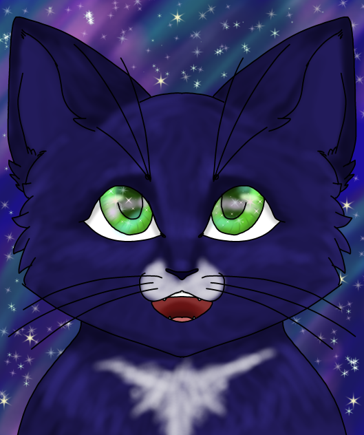 Star Cat - ibisPaint