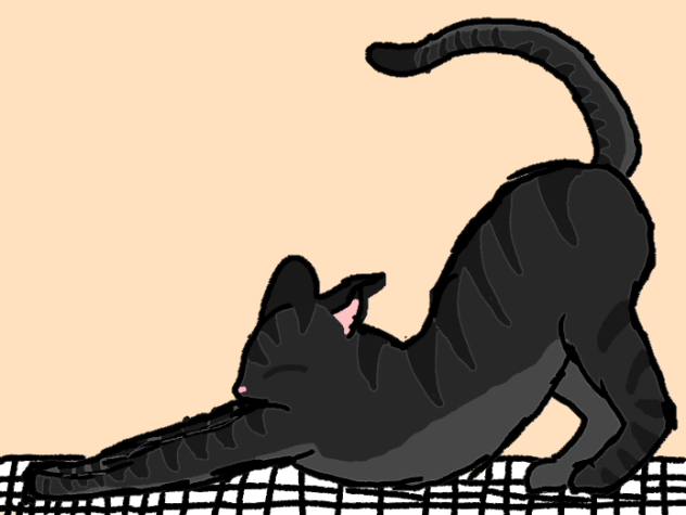 Kitty cat - ibisPaint