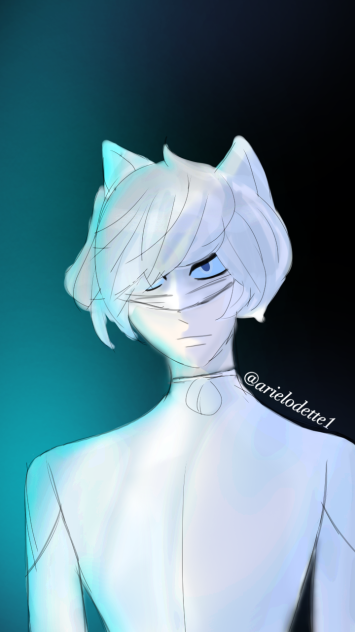 Chat Blanc - ibisPaint