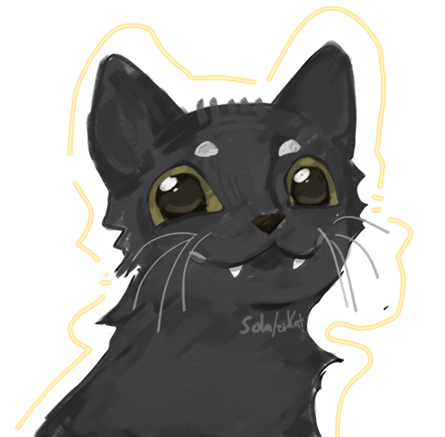 black cat - ibisPaint