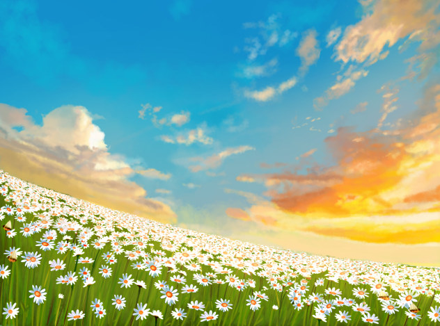 Daisy field and sky - ibisPaint