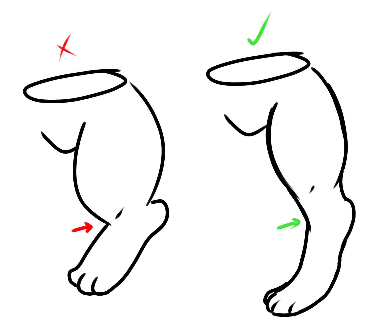 dos and donts of digitigrade leg - ibisPaint