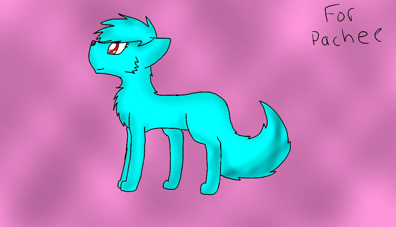 Pachee's Character - ibisPaint