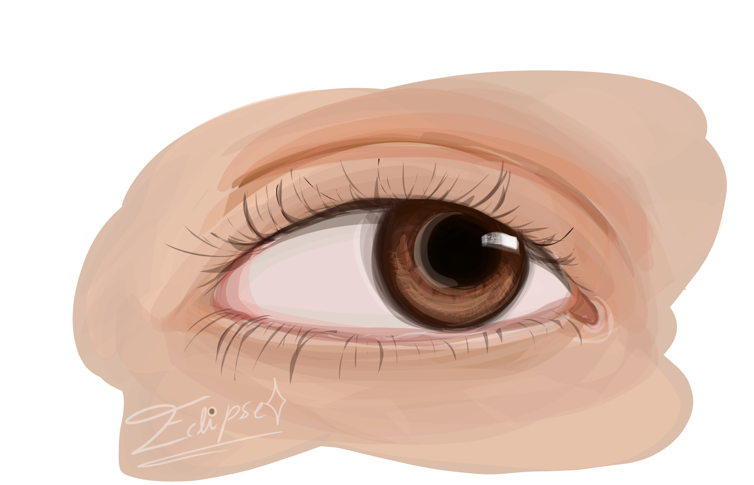 lasso eye なげなわの目 - ibisPaint